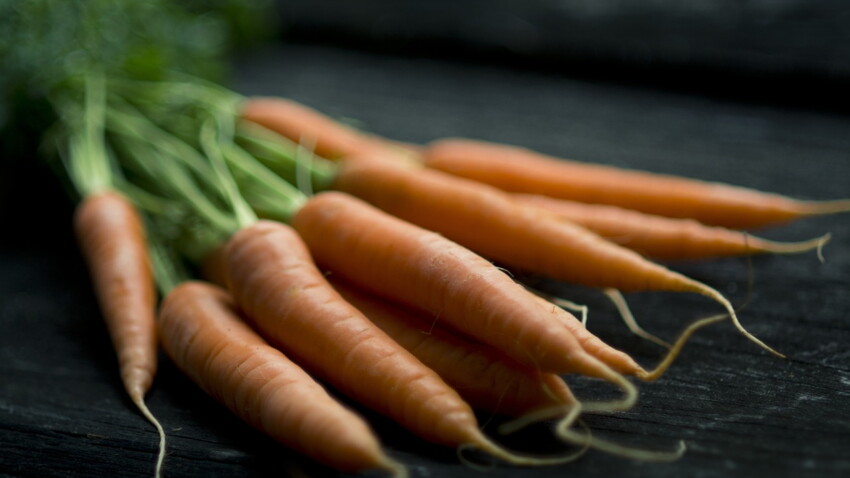 Comment cuisiner des carottes ? : Femme Actuelle Le MAG