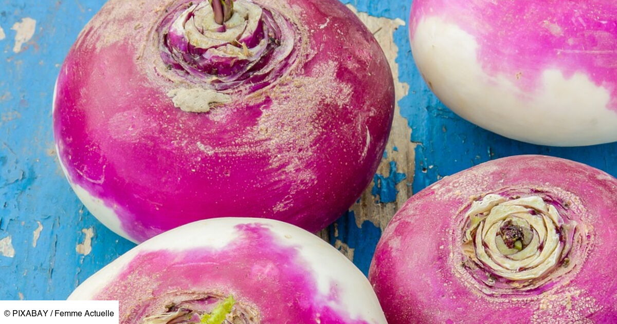 Nos délicieuses recettes simples et rapides avec du navet : Femme ...