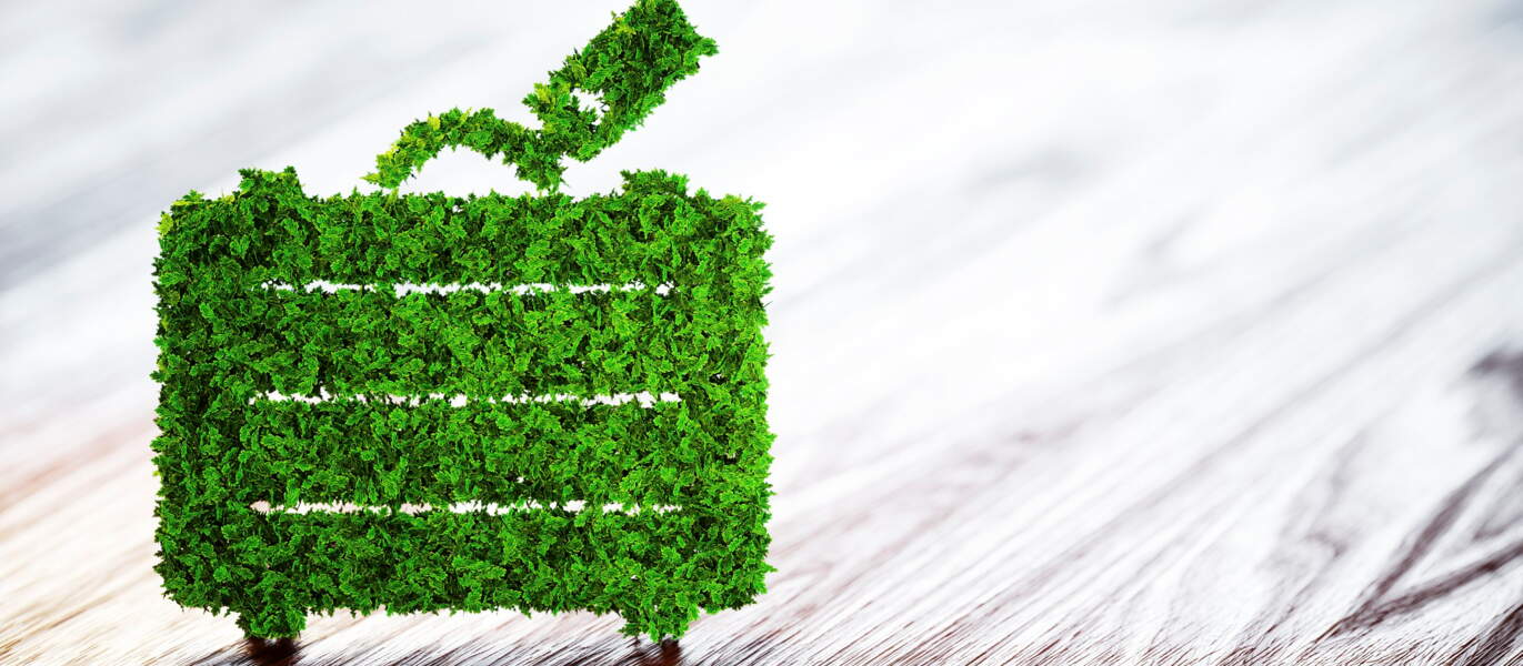 Écologie, recyclage, environnement : tous les bons réflexes à adopter ...