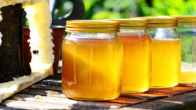 Le miel : Femme Actuelle Le MAG