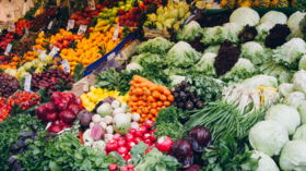 Livres numériques : les sites de téléchargement gratuits : Femme ...