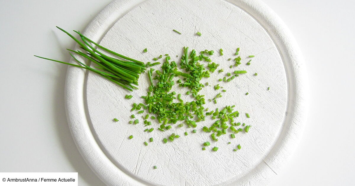 Comment conserver la ciboulette ? : Femme Actuelle Le MAG