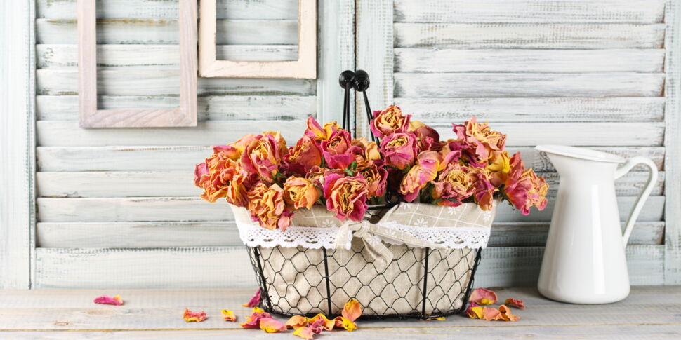 Faire sécher les roses du jardin sans altérer leur couleur : Femme ...