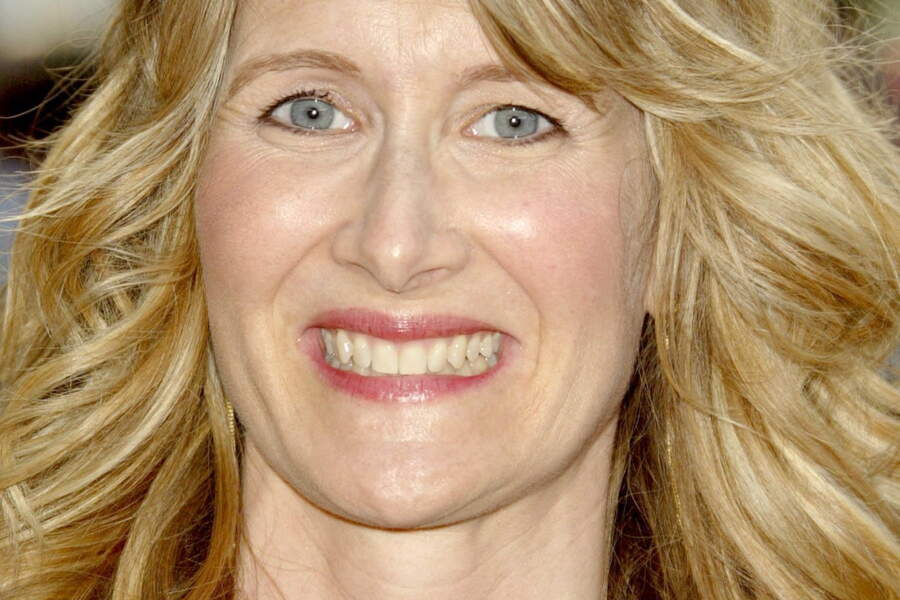 Laura Dern : son évolution physique en images - Femme Actuelle