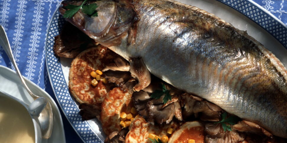 Sandre farci : découvrez les recettes de cuisine de Femme Actuelle Le MAG
