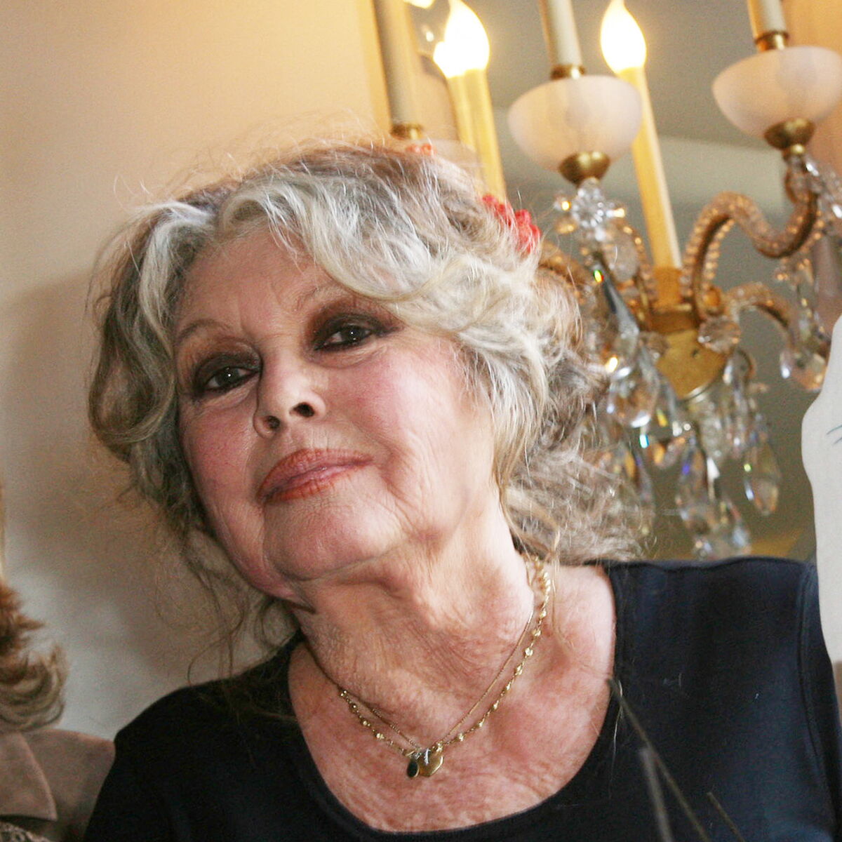 Brigitte Bardot Est Elle Décédée Store | jkuat.ac.ke