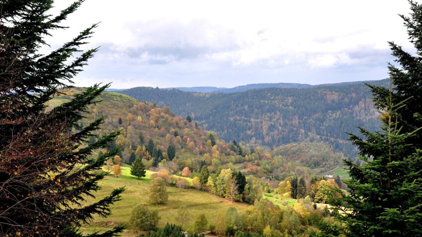 Voyage en France : 5 étapes incontournables dans les Vosges : Femme ...