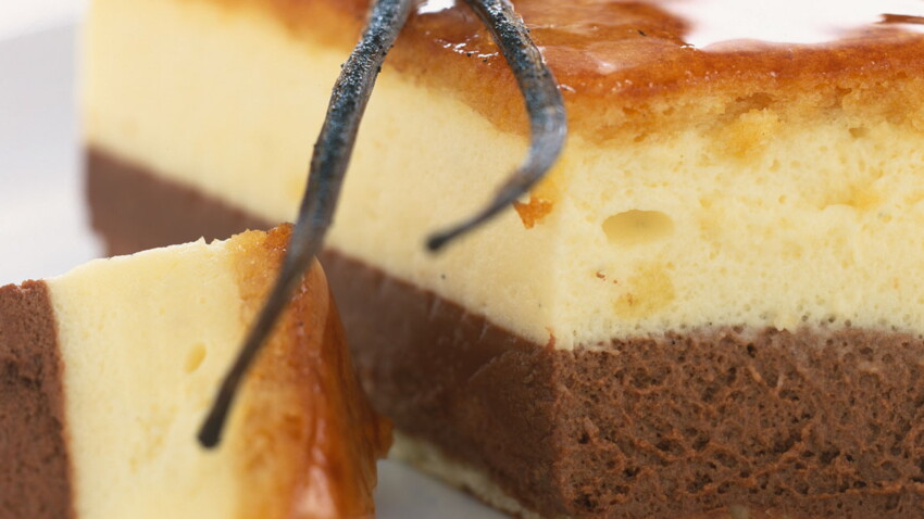 Bavarois chocolat-vanille rapide : découvrez les recettes de cuisine de ...