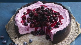 Cheesecake aux fruits rouges super facile : découvrez les recettes de ...