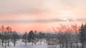 Imbolc, le 1er février, marque le début du printemps des sorcières ...