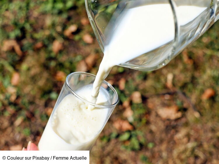 Pourquoi il ne faut pas jeter votre lait périmé : Femme Actuelle Le MAG