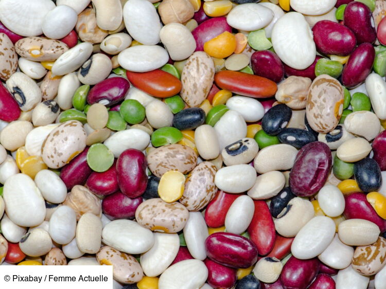 6 variétés de haricots à (re)découvrir : Femme Actuelle Le MAG