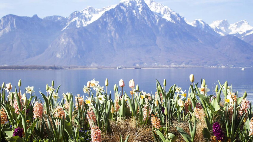 Notre itinéraire coup de cœur autour du lac Léman : Femme Actuelle Le MAG