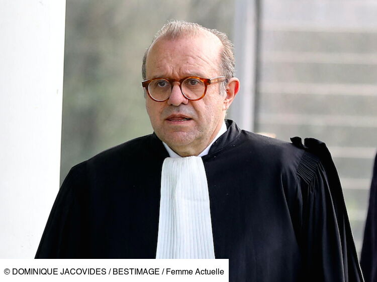 Qui est Hervé Temime, l'avocat de Richard Berry, Gérard Depardieu et ...