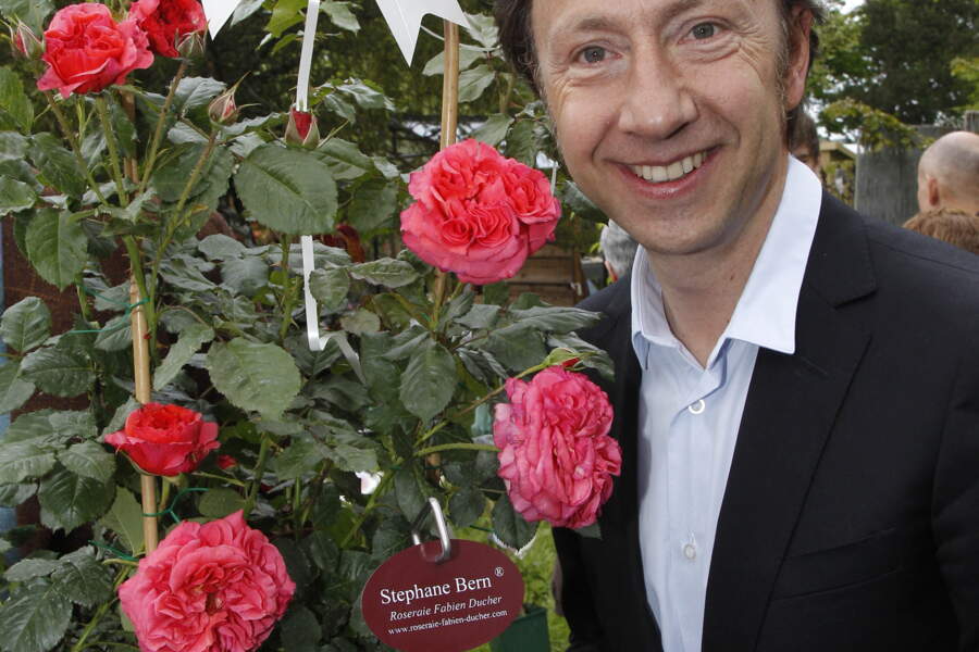 Stéphane Bern : sa carrière en images - Femme Actuelle