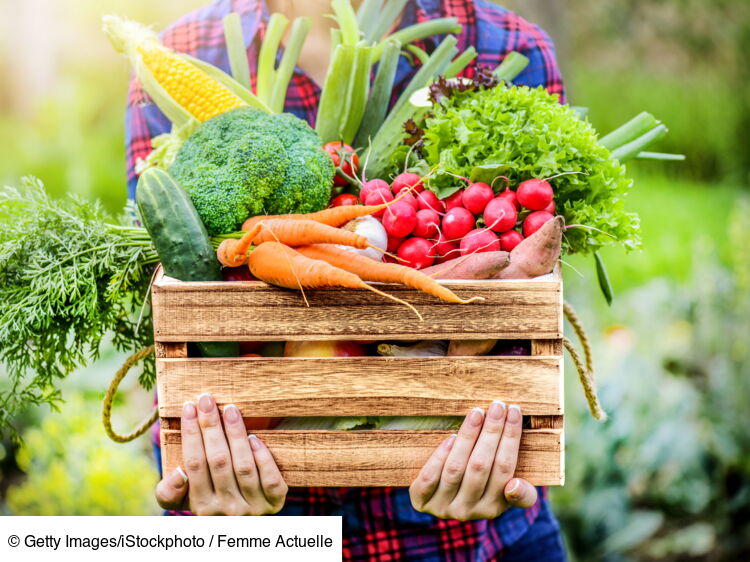 Potager : 5 légumes faciles à cultiver : Femme Actuelle Le MAG