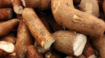 3 idées recettes faciles pour cuisiner le manioc : Femme Actuelle Le MAG