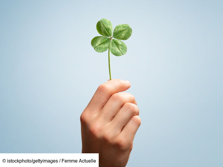 La chance : pourquoi il faut y croire et comment la provoquer ! : Femme ...