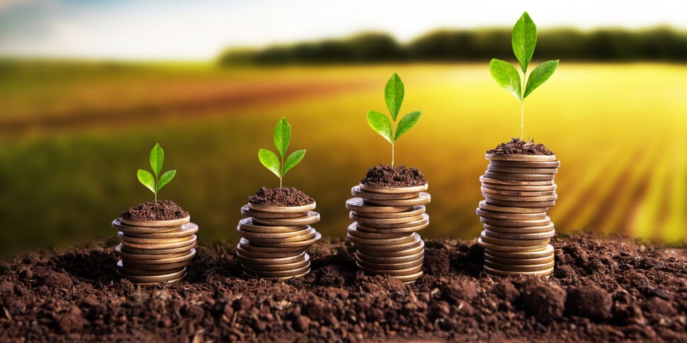 Comment transformer son capital en rente ? : Femme Actuelle Le MAG