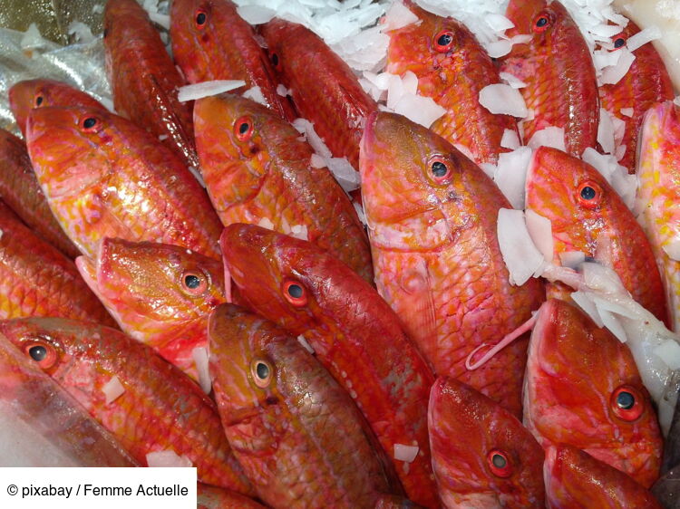 Notre sélection de délicieuses recettes avec des filets de rouget ...