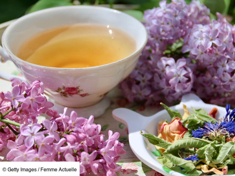 2 recettes d'infusions de plantes qui font une belle peau : Femme ...