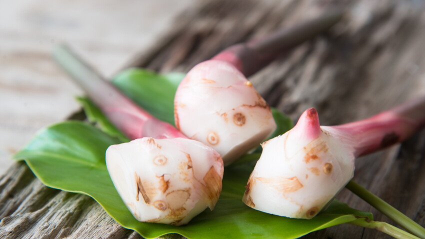 Galanga : les bienfaits de ce cousin du gingembre et comment en profiter : Femme Actuelle Le MAG