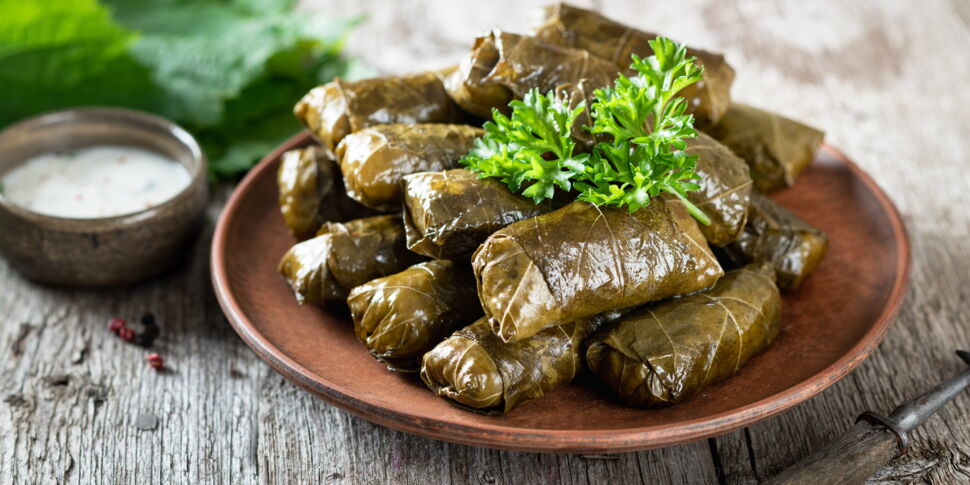 Dolma : découvrez les recettes de cuisine de Femme Actuelle Le MAG