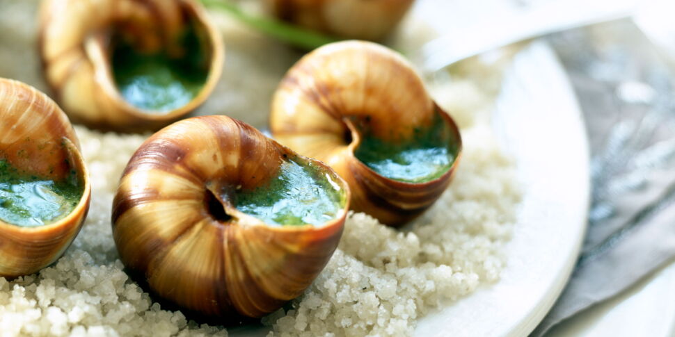 Escargots en persillade facile et rapide : découvrez les recettes de ...