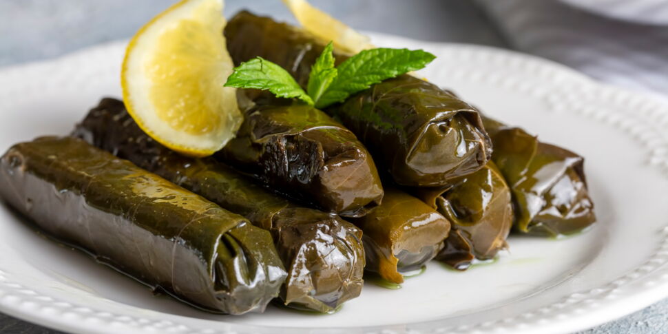 Sarma : découvrez les recettes de cuisine de Femme Actuelle Le MAG