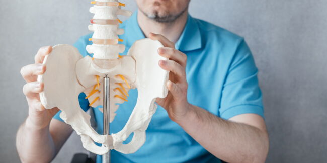 Le bassin : rôle, pathologies et examens : Femme Actuelle Le MAG