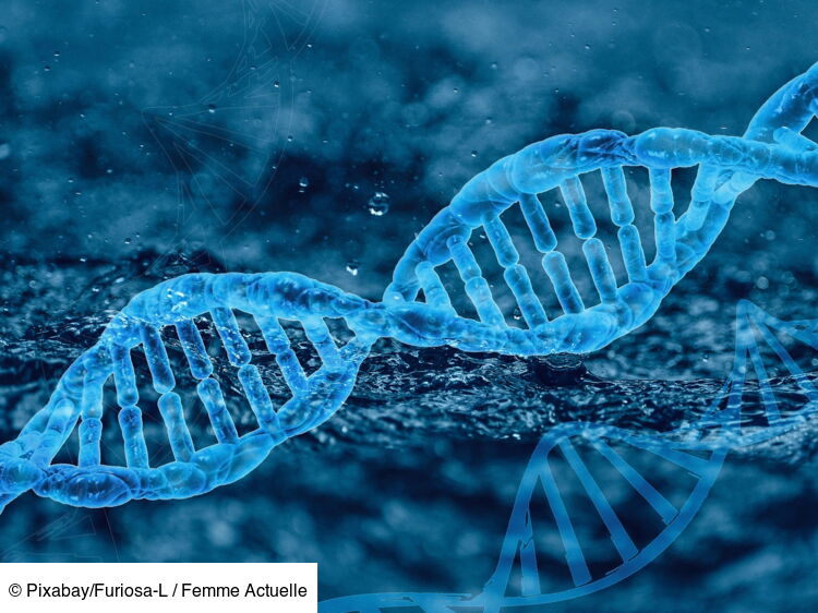 Trisomie 22 : diagnostic, symptômes et caractéristiques de cette ...