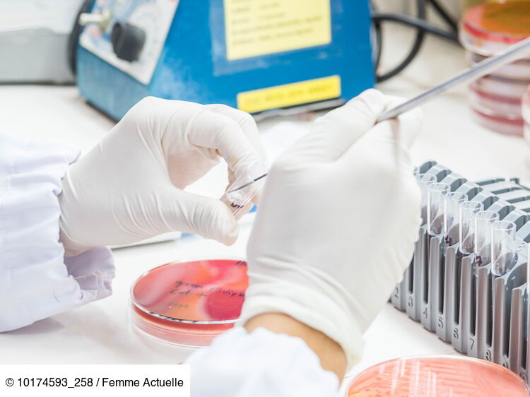 Septicémie : définition, symptômes, complications, traitements : Femme ...