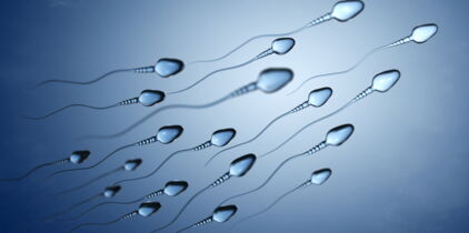 Spermocytogramme : utilité, déroulement et lecture des résultats ...