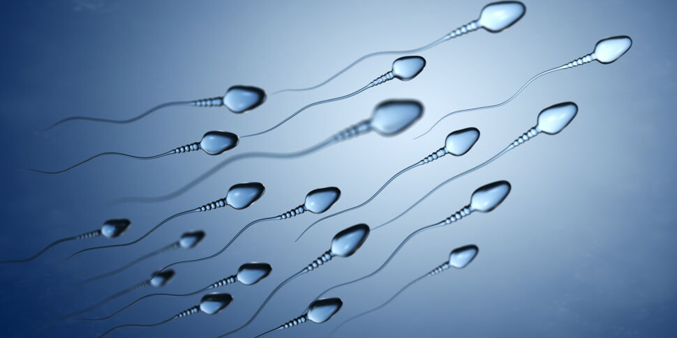 Spermocytogramme : utilité, déroulement et lecture des résultats ...