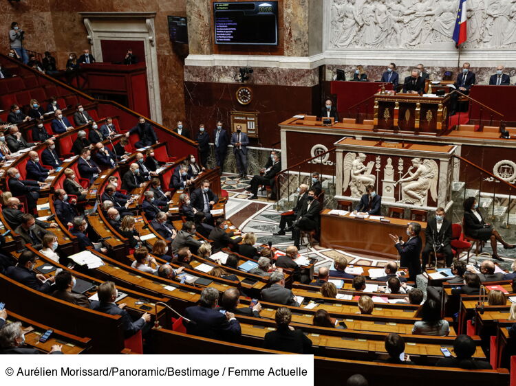 Assistant parlementaire : en quoi consiste vraiment son travail ...