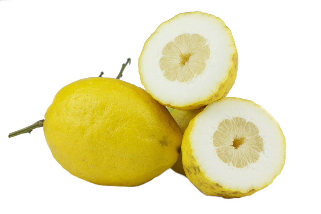 7 variétés de citron pour faire le plein de vitamines : Femme Actuelle ...