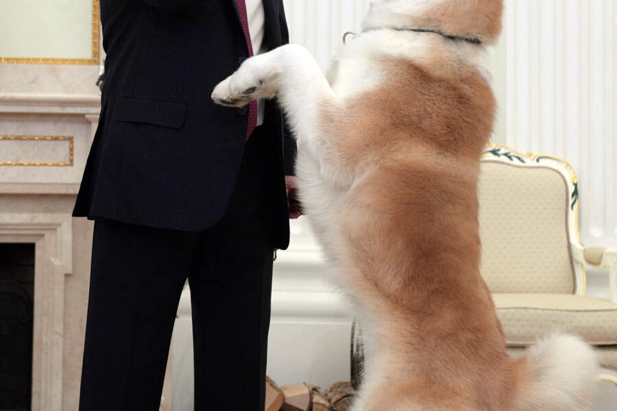 Vladimir Poutine : retour sur le parcours du dirigeant russe - Femme ...