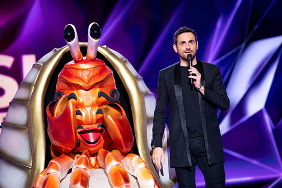 "Mask Singer" 2022 : Tigresse, Cosmonaute, Banane... voici les costumes ...