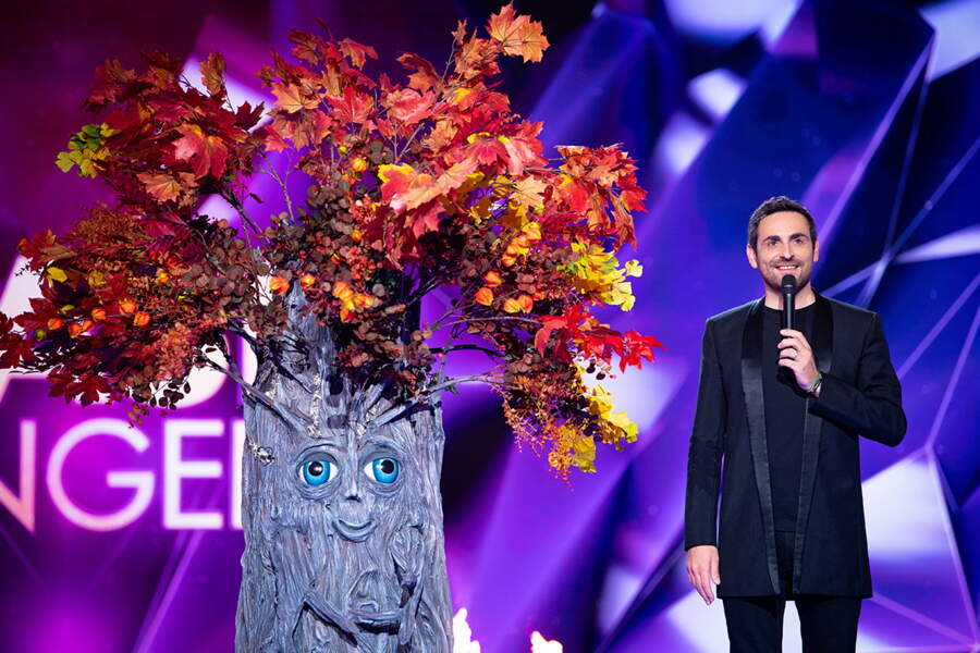 "Mask Singer" 2022 : Tigresse, Cosmonaute, Banane... voici les costumes ...