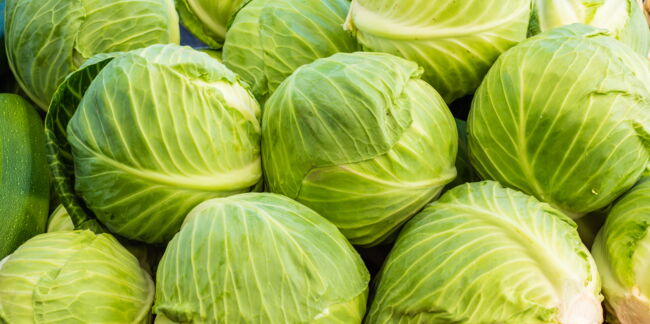 Chou vert : ses bienfaits et 10 recettes légères et gourmandes : Femme ...