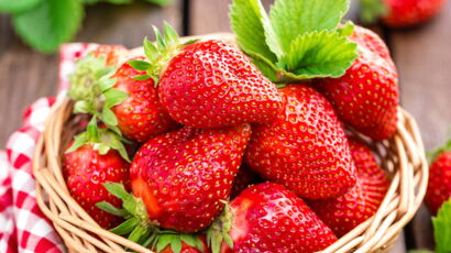 News cuisine, articles, vidéos, dossiers et diapo : Femme Actuelle Le MAG