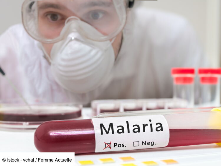 Paludisme : tout ce qu'il faut savoir sur les différents traitements préventifs : Femme Actuelle ...
