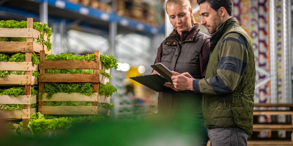 Intermarché, toujours plus « Producteurs et Commerçants Français ...