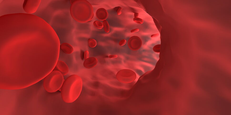 Maladies du sang : définition, liste, symptômes, diagnostic, traitement ...