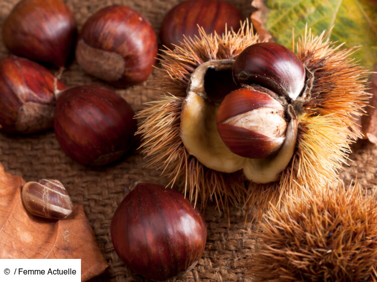 La châtaigne : comment cuisiner ce fruit d'automne ? : Femme Actuelle ...