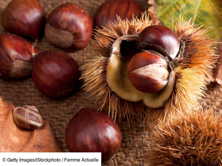 La châtaigne : comment cuisiner ce fruit d'automne ? : Femme Actuelle ...