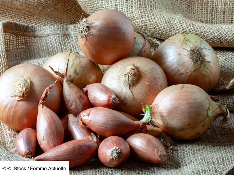 Ail, oignon, échalote… quand les planter dans mon potager ? : Femme ...