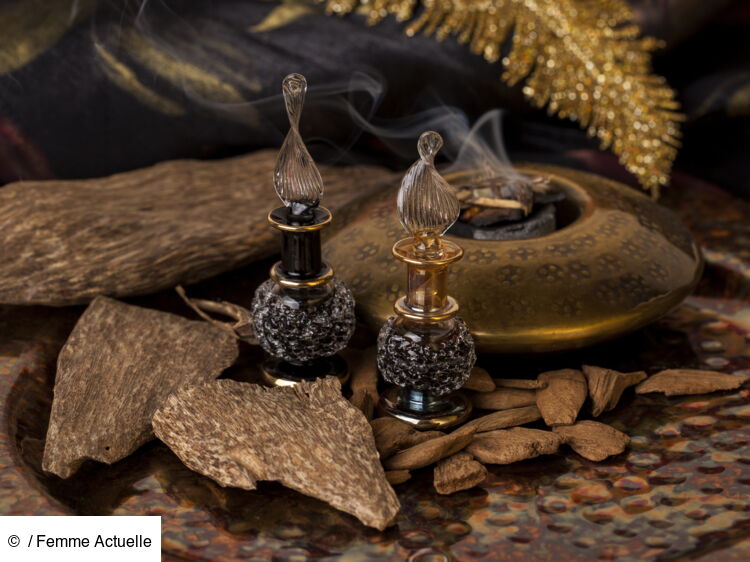 Qu'est-ce que le parfum oud ultra-tendance ? On vous dit tout ! : Femme ...