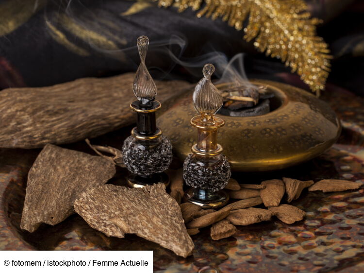 Qu'est-ce que le parfum oud ultra-tendance ? On vous dit tout ! : Femme ...