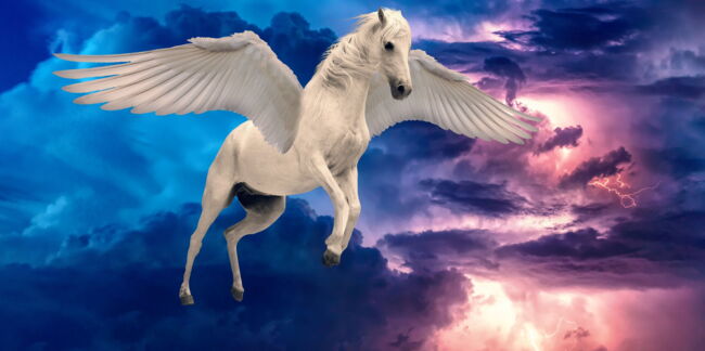 Tout savoir sur Pégase, le cheval ailé de la mythologie grecque : Femme ...
